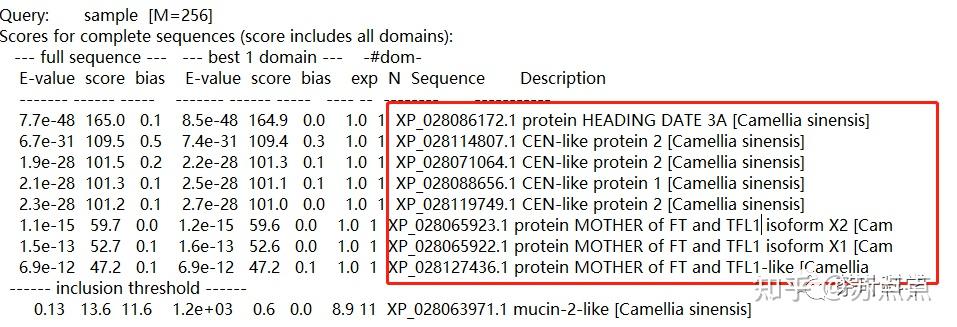 利用 hmmer 构建隐马尔可夫模型并寻找同源基因 - 知乎