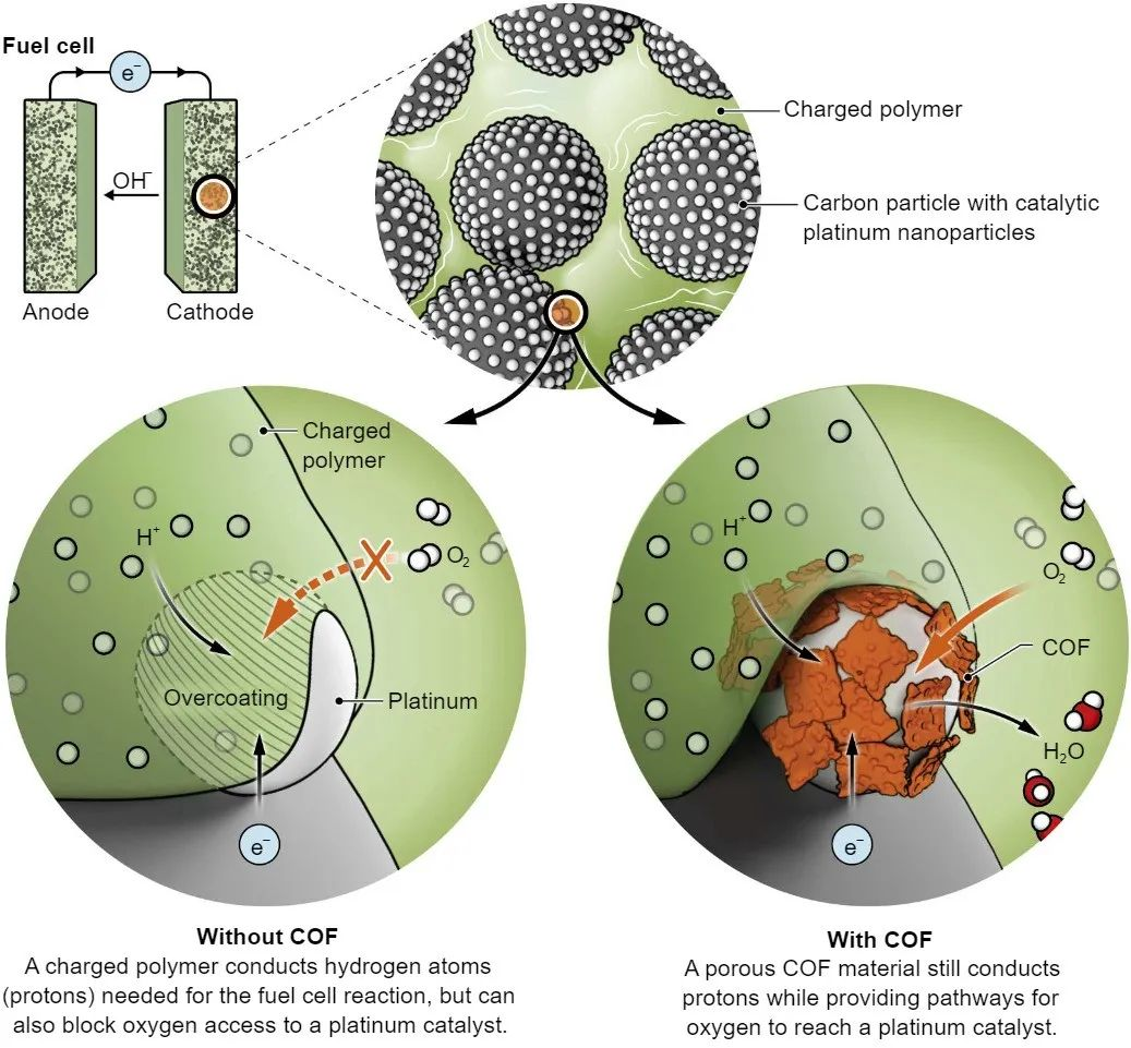 多孔COF基离子聚合物助力高性能燃料电池 - 知乎