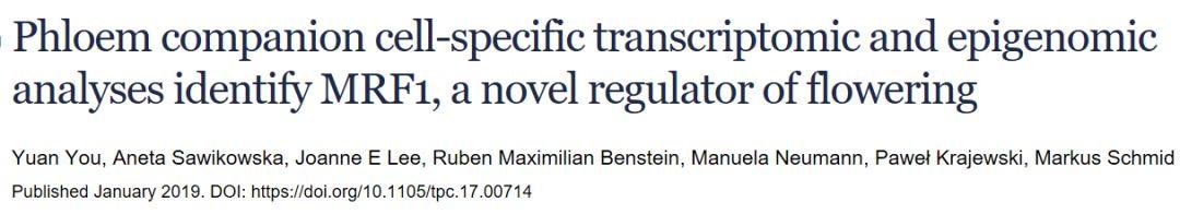 MRF1，一个新的开花调控蛋白 - 知乎