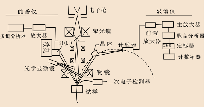 干货 | 使用电子探针显微分析（EPMA）必备知识 - 知乎