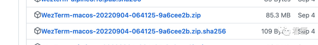 环境配置之终端WezTerm - 知乎