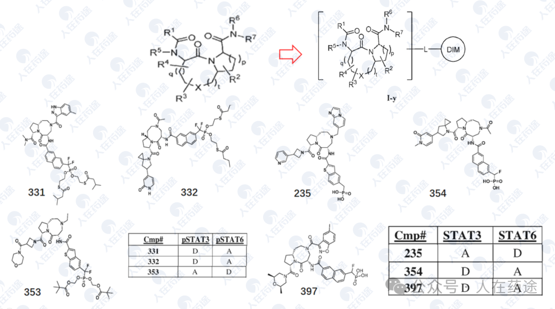 STAT6 PROTAC:从专利中推测KT-621的大致结构（前瞻篇） - 知乎
