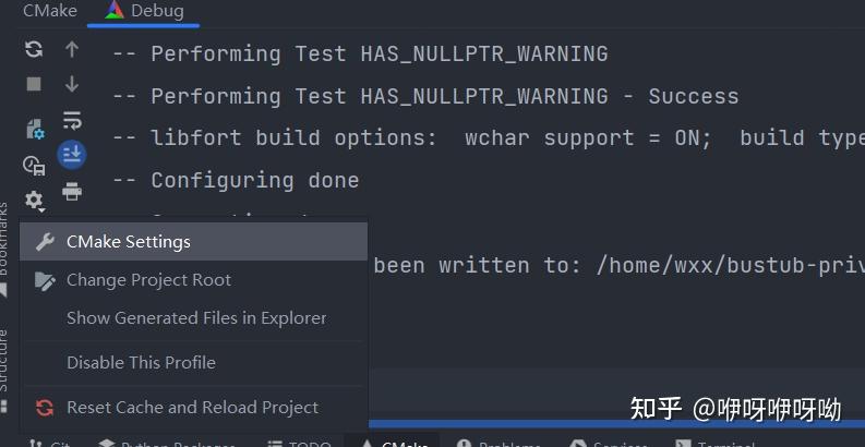 CMU 15445 vscode/clion clang12 cmake环境配置 - 知乎