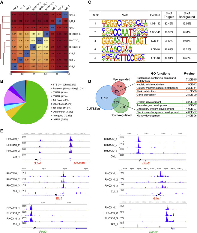 一文了解CUT&Tag技术 - 知乎