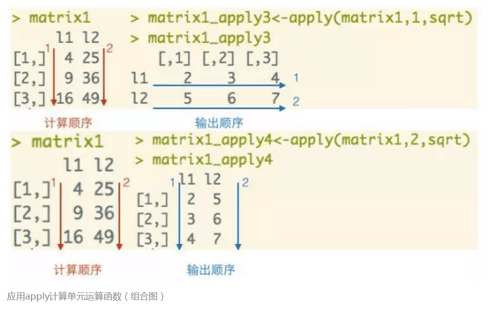R点石成金三人组：apply,lapply,sapply - 知乎