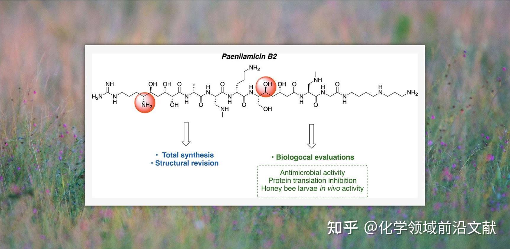 你似乎来到了没有知识存在的荒原 - 知乎