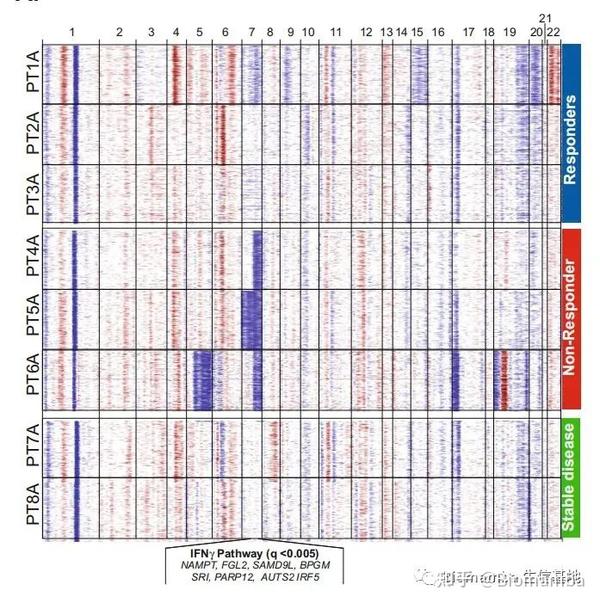 《Nature communication》：PD-1&急性髓细胞性白血病&T Cell - 知乎
