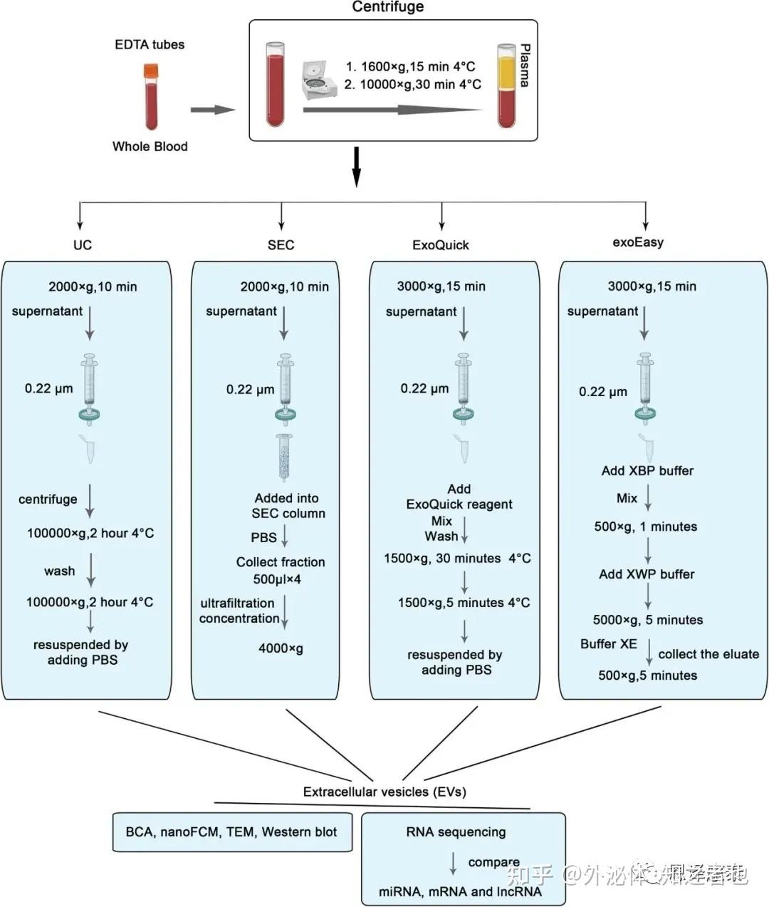 读EV·解一知|文献2：SEC更适合于血浆细胞外囊泡RNA组学研究 - 知乎