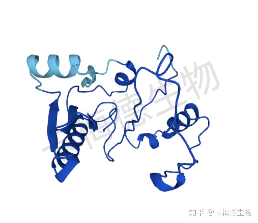 肌酸激酶同工酶（CKMB）介绍 - 知乎