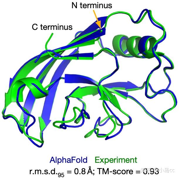论文速读：Highly accurate protein structure prediction with AlphaFold （去年大火的 ...