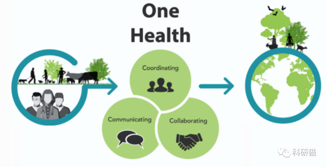 为什么现在叫 one health 的期刊越来越多了？ - 知乎