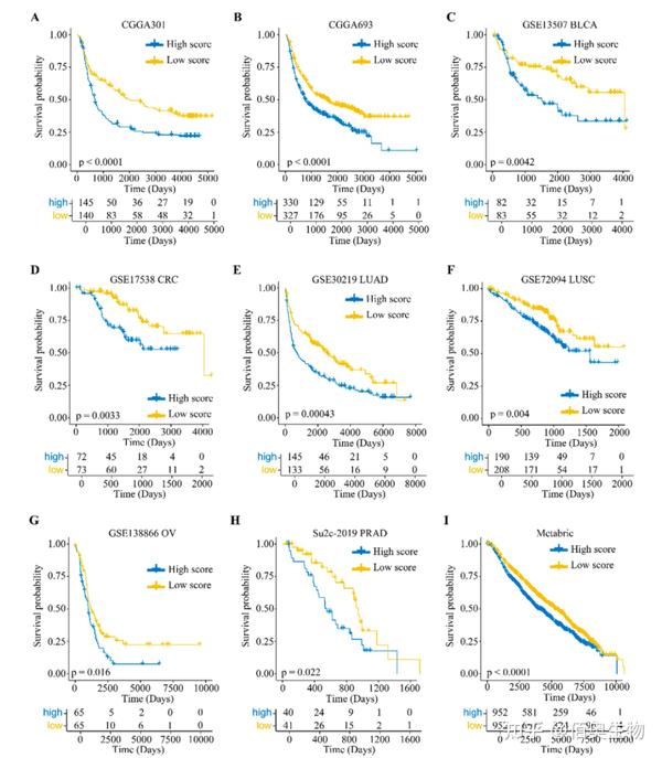 2023年只有7张Figure的纯生信泛癌预后模型发12分+1区期刊 - 知乎