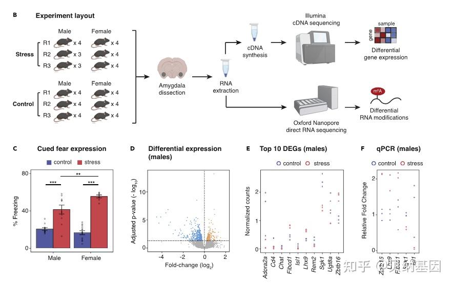 盘点 | 2022年Direct RNA测序高分文章 - 知乎
