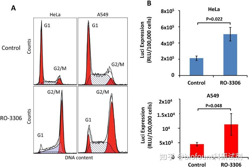 Ro 3306；Cdk1 抑制剂 - 知乎