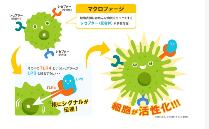 LPS脂多糖的作用是什么？为什么吃DrLPS能增强免疫力 - 知乎