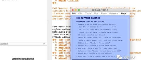 curry8处理的数据可以导入eeglab吗? - 知乎