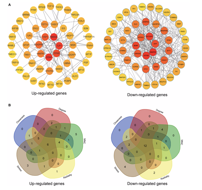 Front.aging neurosci | 生物信息学分析阿尔茨海默病潜在诊断生物标志物关键基因 - 知乎