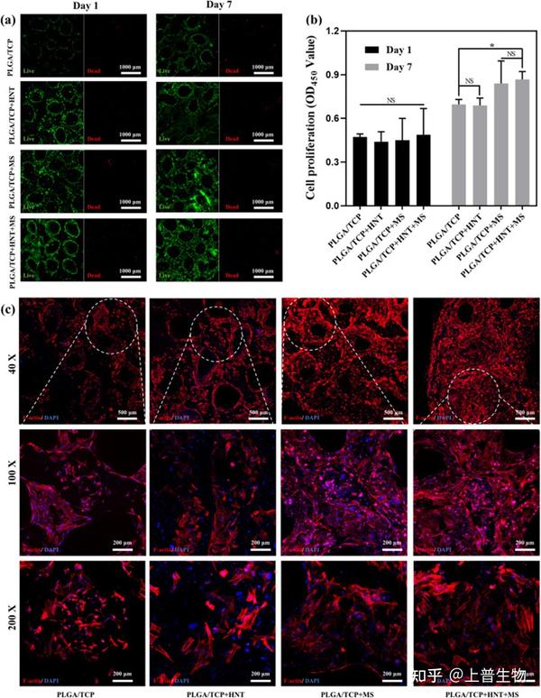 清华大学利用SUNPBP11低温沉积3D打印构建促血管化骨再生的多机制药物控释支架体系 - 知乎