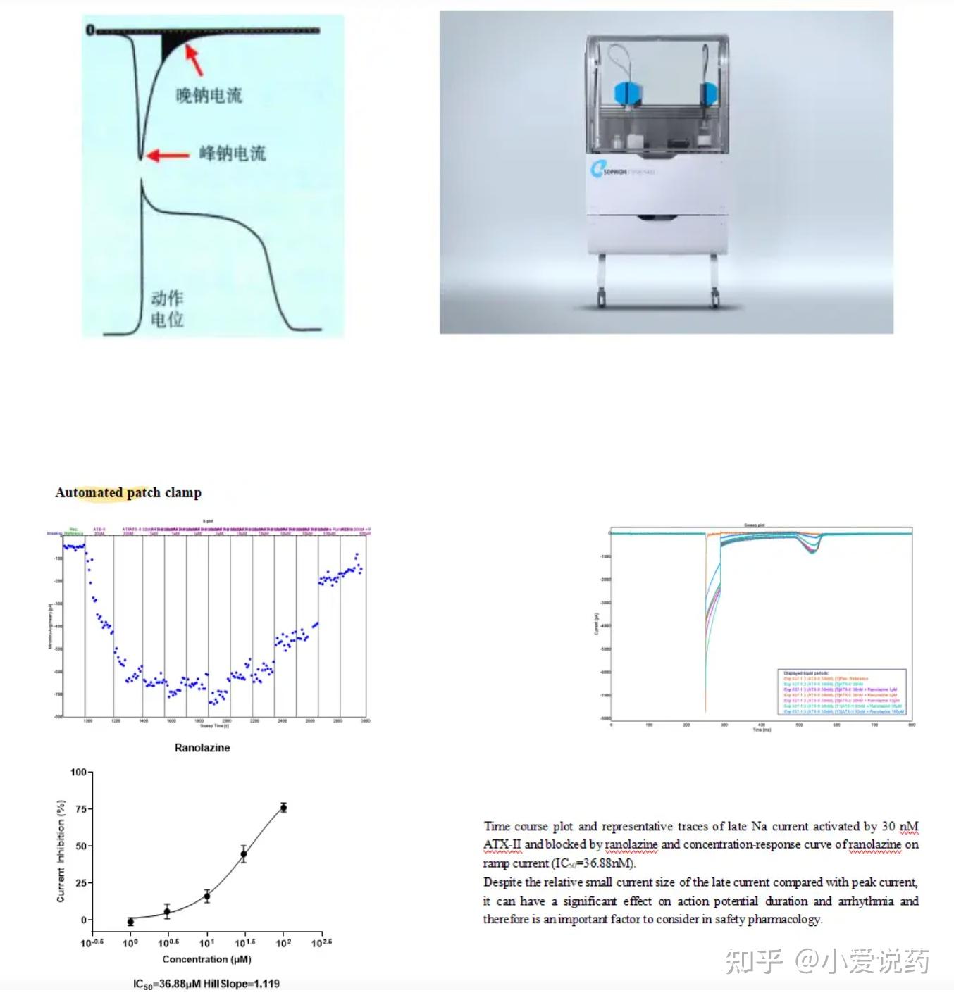 ion channel fast-screening|ion channel screening|Ion Channel Services - 知乎