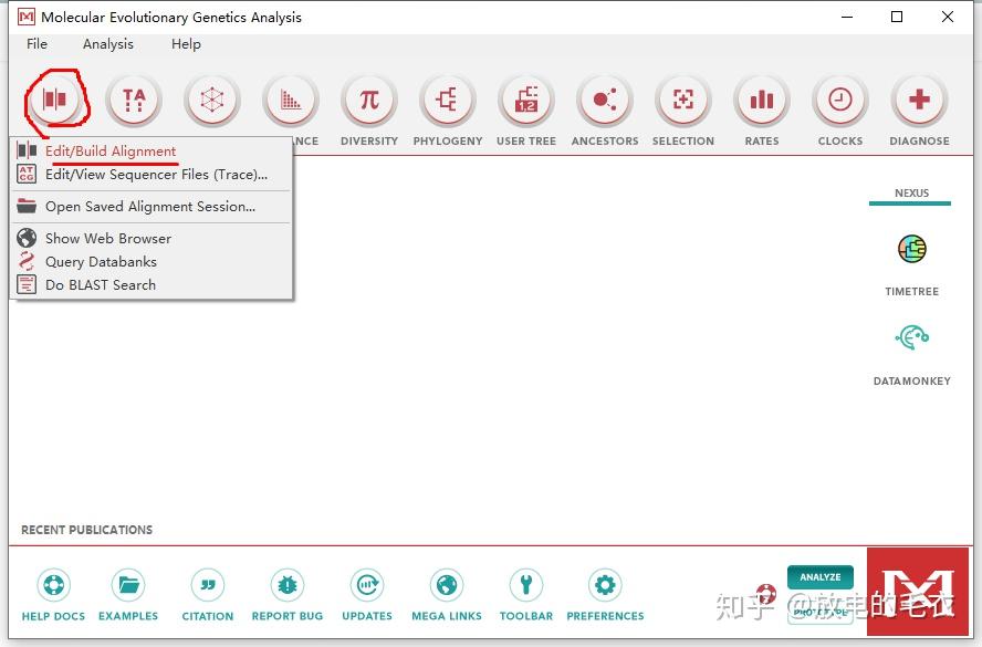 MEGA在分子进化树方面的应用 - 知乎