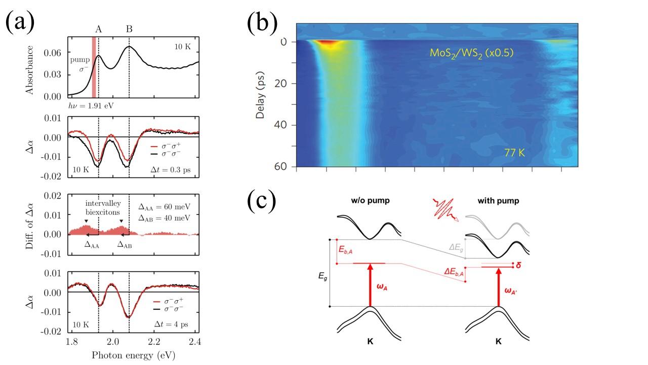 pump-probe技术在2D TMDs中的应用 - 知乎