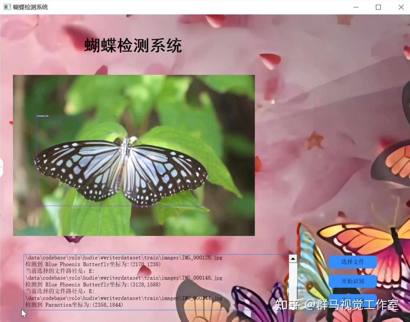 基于改进yolov7的蝴蝶识别系统（源码＆教程） 知乎 
