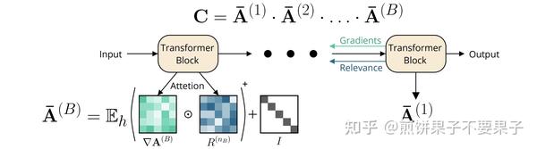 【Transformer 可视化】Transformer Interpretability Beyond Attention Visualization - 知乎