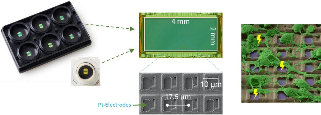 全球首次实现多个“芯上脑”的互动交流！ - 知乎