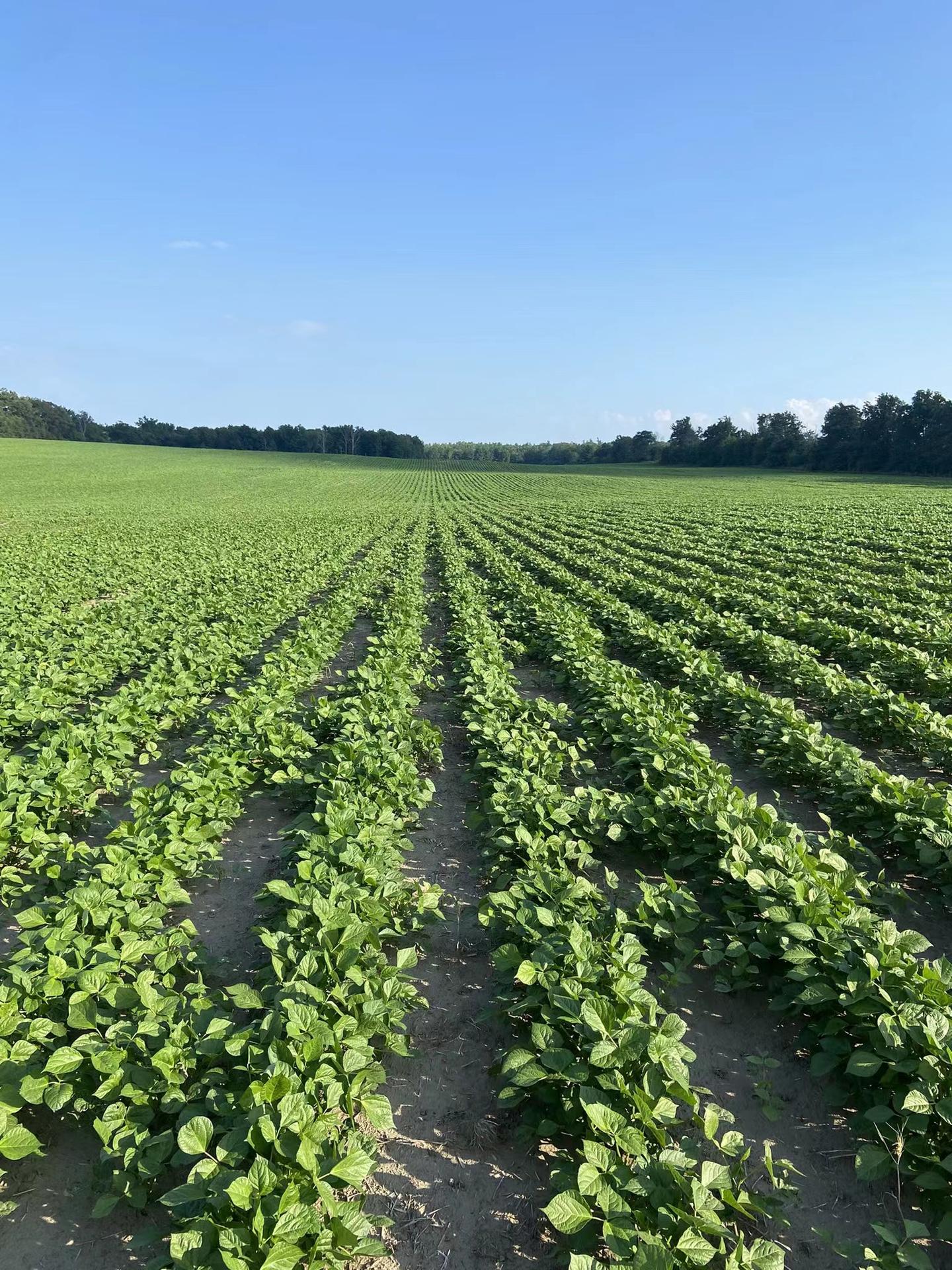 全农 （ZEN-NOH） - 知乎