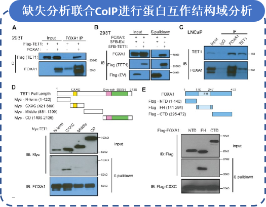 一站式IP打造|第一弹.IP全流程解析 - 知乎