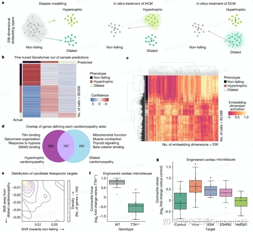 Nature｜第一个计算生物学大模型Geneformer用于下游任务微调 - 知乎