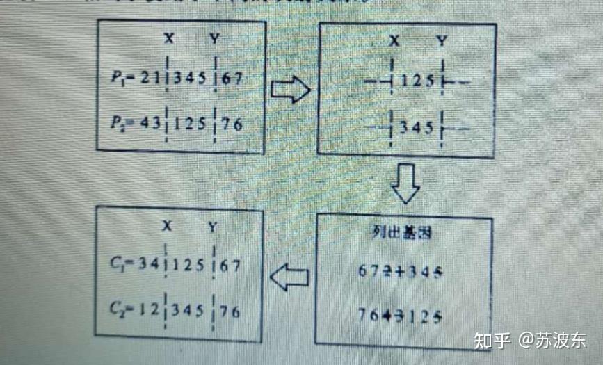 遗传算法解TSP问题 - 知乎