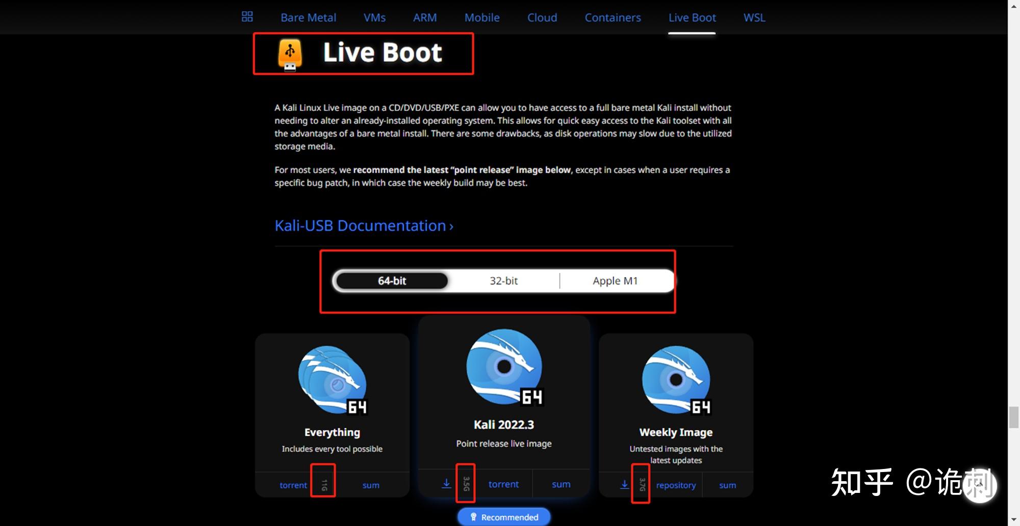 手把手教你-把Kali Linux系统安装到U盘 【超详细】（随身携带/即插即用） - 知乎