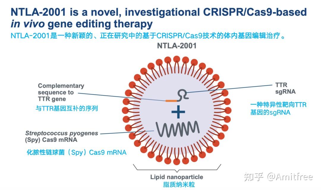 创新前沿--基因编辑公司Intellia的里程碑产品NTLA-2001 - 知乎