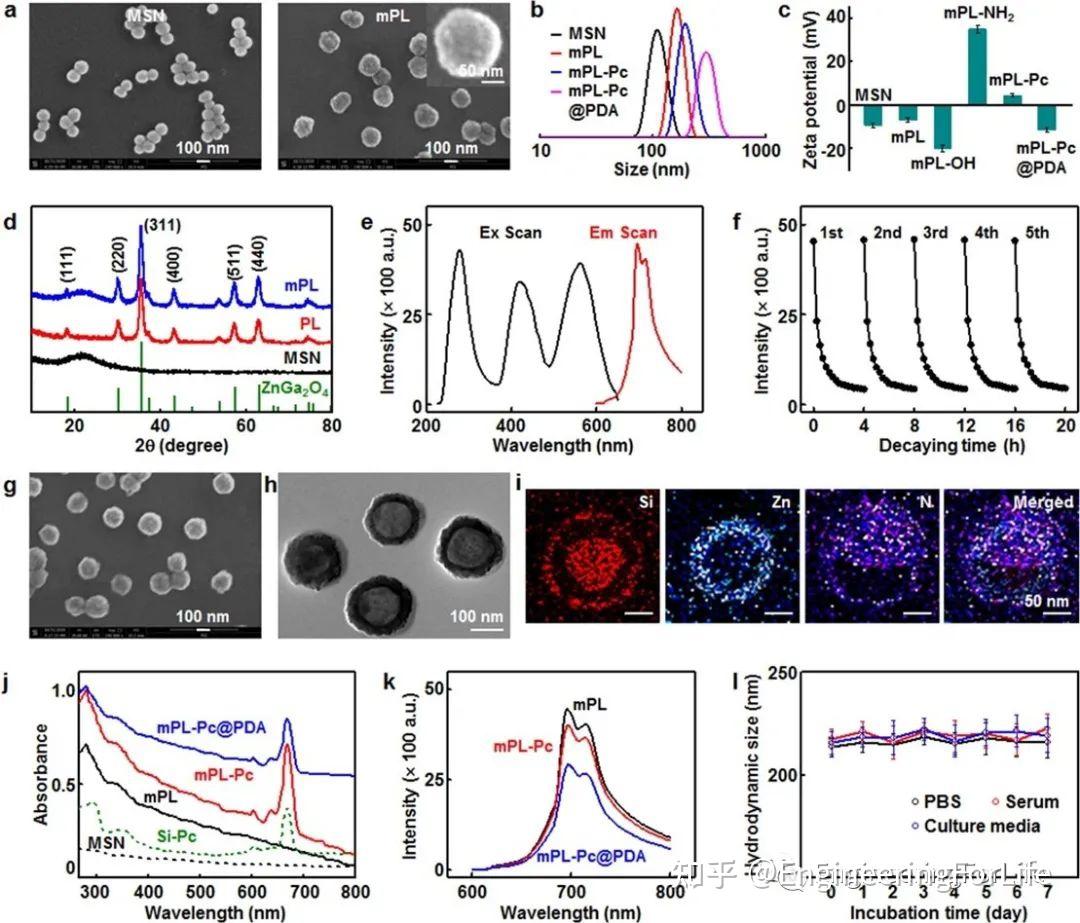 《CEJ》：双动力驱动Janus纳米马达用于癌症治疗 - 知乎