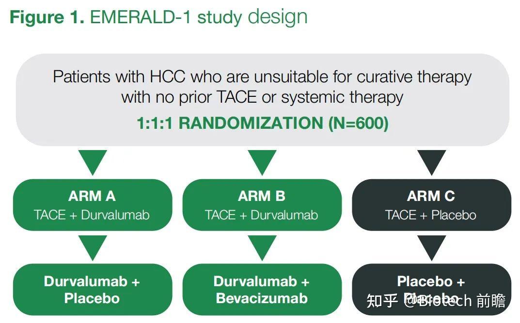 EMERALD-1数据公布，TACE+免疫改变HCC治疗格局 - 知乎