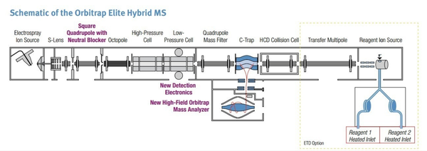 线性离子阱轨道阱组合式质谱（LTQ-Orbitrap MS） - 知乎
