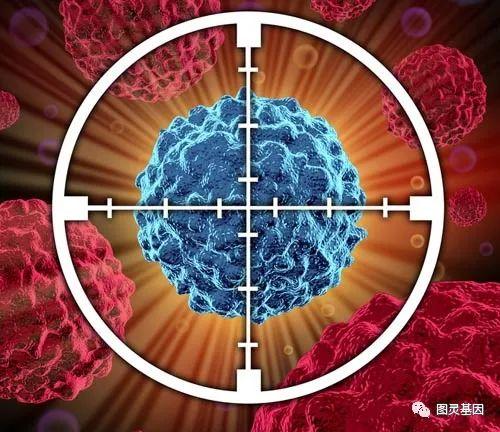 Nat Nano | DNA折纸技术帮助T细胞对抗肿瘤 - 知乎