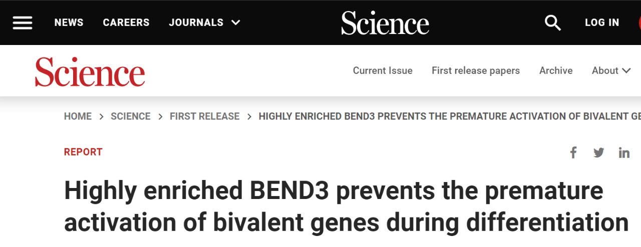 Science — 朱冰/许瑞明团队发现CpG岛结合蛋白BEND3的作用机制 - 知乎