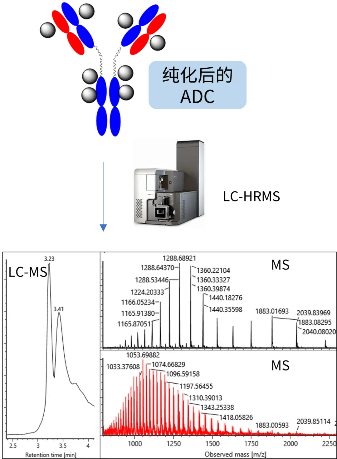 深度分享丨抗体偶联药物（ADC）的DAR值测定策略与难点 - 知乎