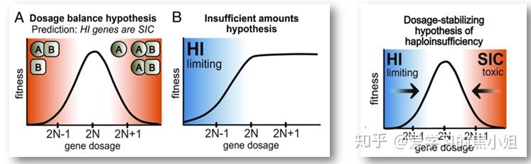 CNV变异评级的ACMG+ClinGen指南解读 - 知乎