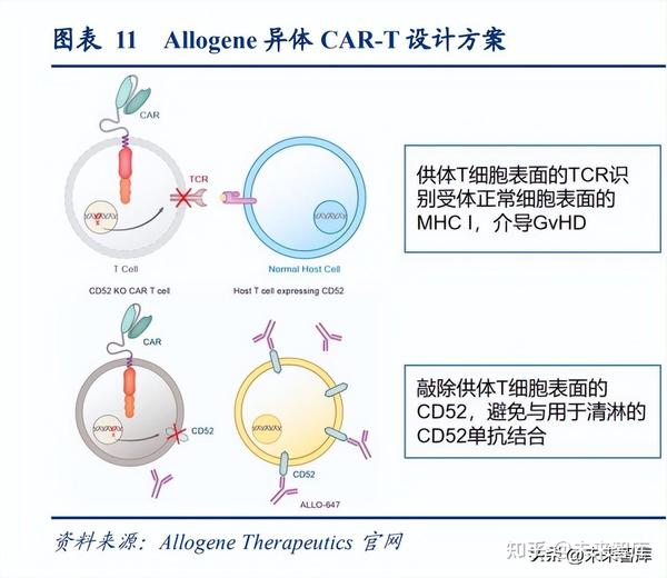 细胞治疗行业专题研究：异体CAR~T渐行渐近 - 知乎