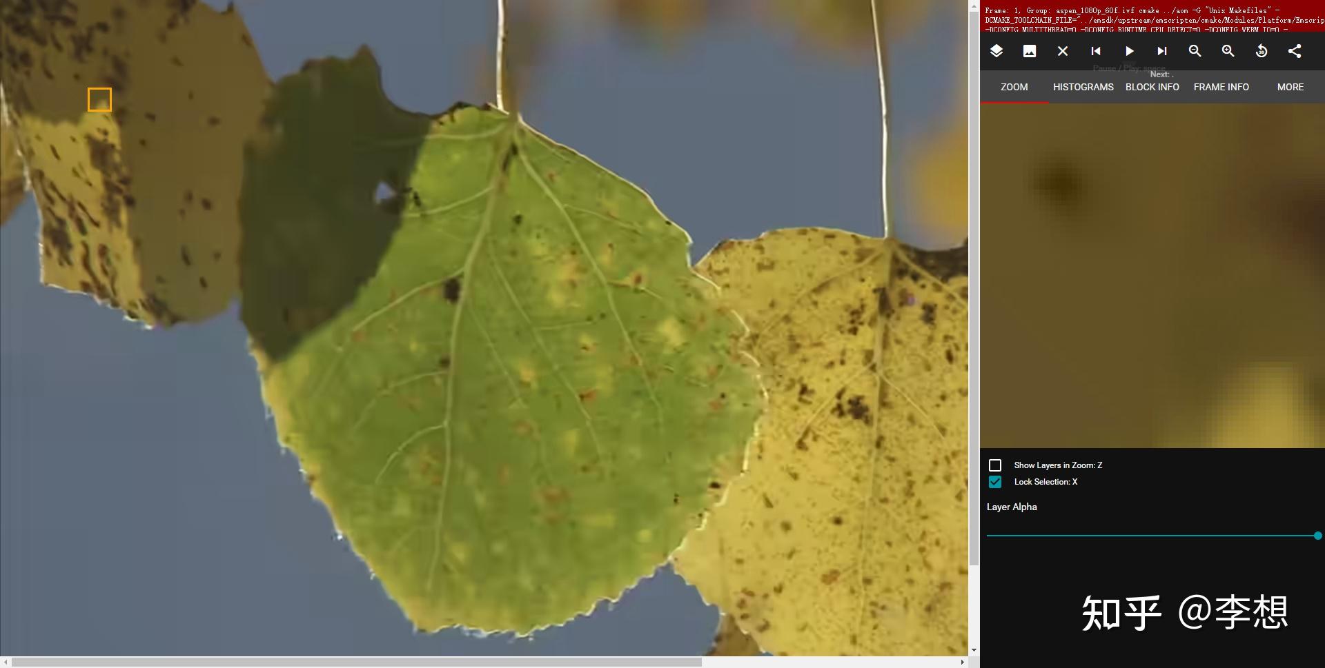 手把手教你搭建自己的 AV1 Analyzer - 知乎