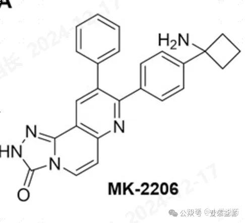 AKT抑制剂研究进展及筛选策略|药物靶点筛选 - 知乎