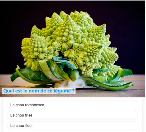 法国这些奇葩的蔬菜到底叫什么？ - 知乎