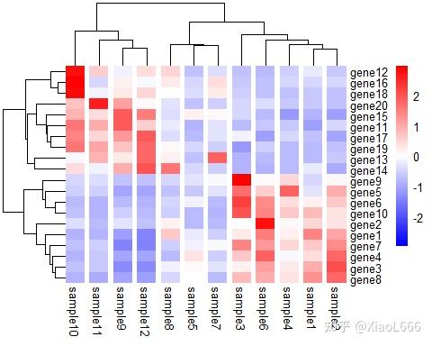 使用pheatmap包绘制热图 - 知乎