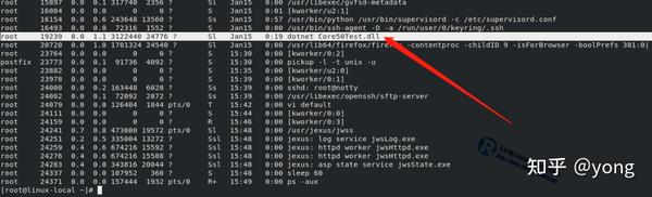.NET Core部署到linux最全解决方案，高阶篇(Docker+Nginx 或 Jexus) - 知乎