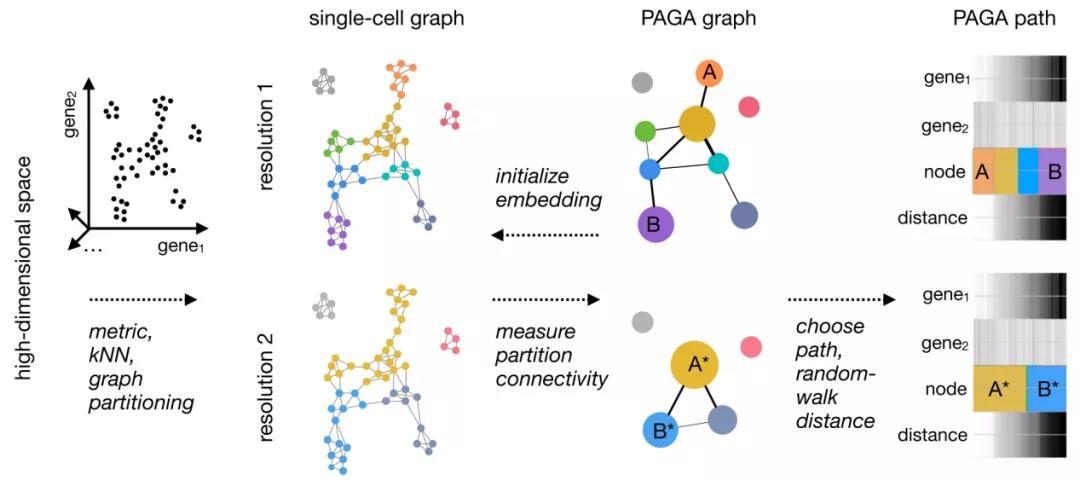 基于图谱的轨迹推断拟时序分析工具——Monocle3 - 知乎