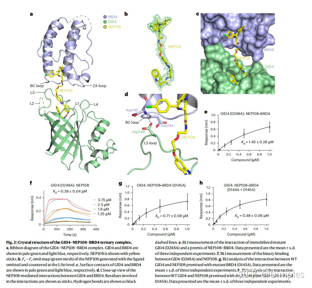 利用全新E3泛素连接酶GID4设计PROTAC - 知乎