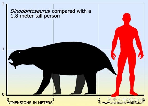 第二百五十四回 百兽图8：鼎肉烝豚 - 知乎